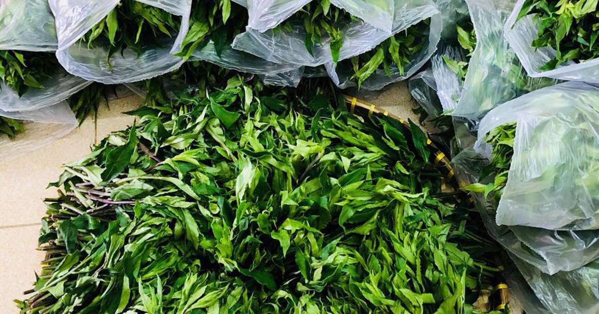 Rau rừng về phố và đắt khách - VnEconomy