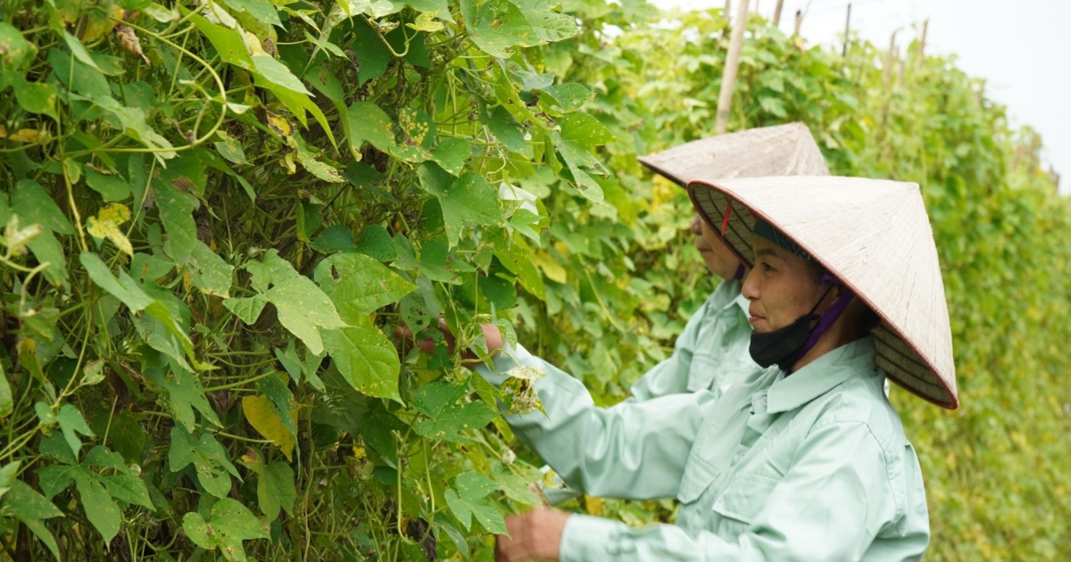 Chương trình CSI 2025: Khuyến khích doanh nghiệp đi từ “tuân thủ” lên ...