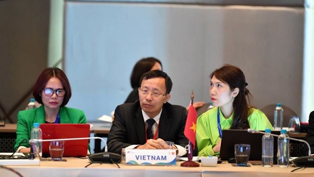 Vietnam & ASEAN customs cooperate in trade facilitation - Vietnam ...