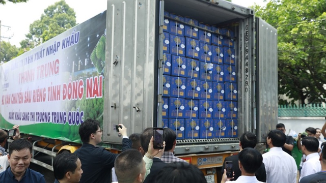 Dong Nai exports first batch of durian to China - Vietnam Economic ...