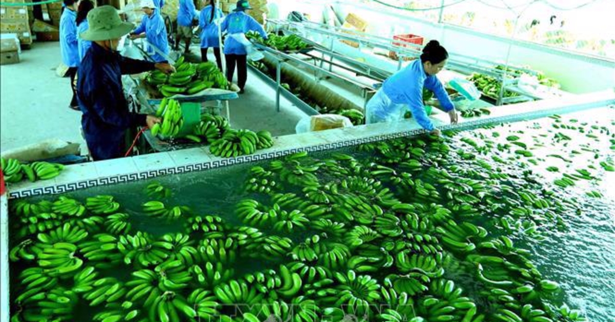 Enterprises must boost green trade for sustainability - VnEconomy