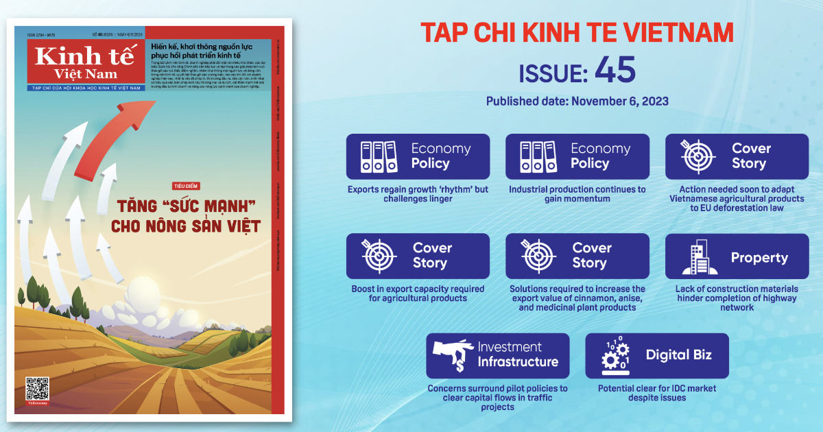 Tap chi Kinh te Viet Nam, Issue 45 - VnEconomy