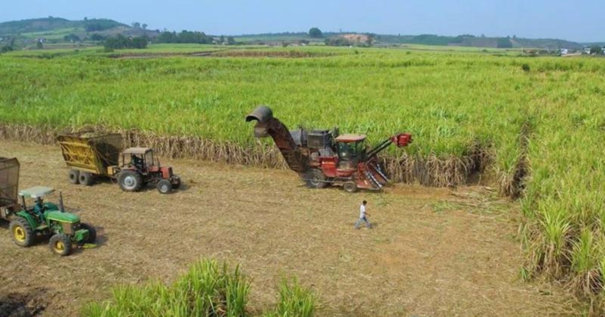 Sugar production hits over 1.1 million tons - VnEconomy
