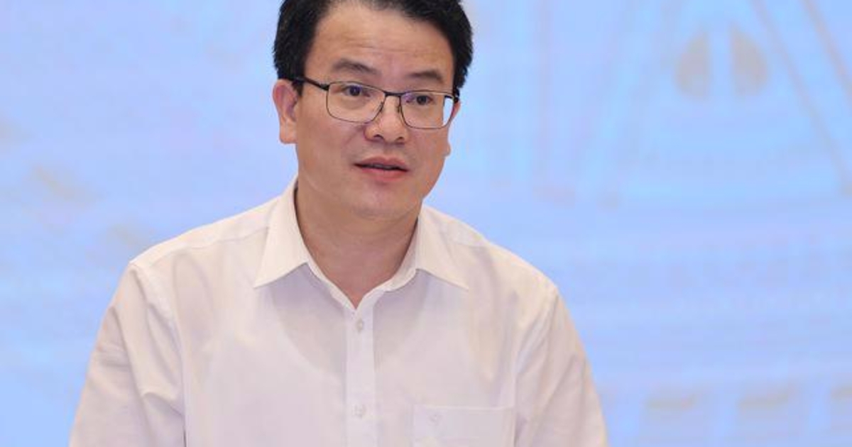 Vietnam likely to achieve 2024 growth target of 7%: MPI - VnEconomy