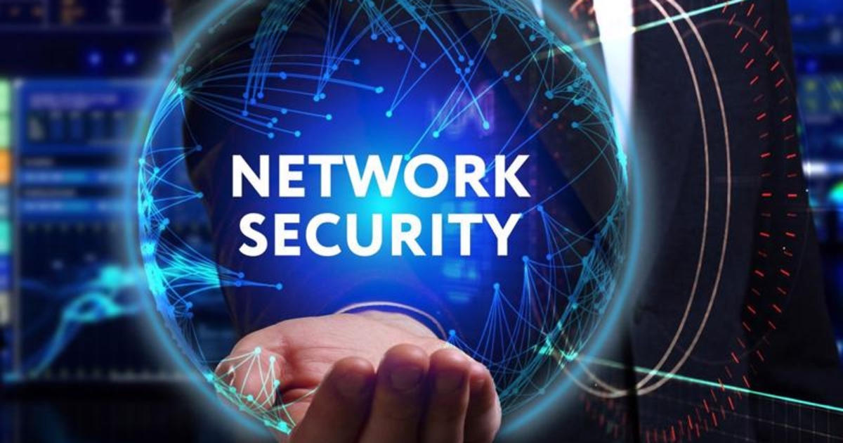 Vietnam's cyber security sector posts 2024 revenue growth of 30% ...