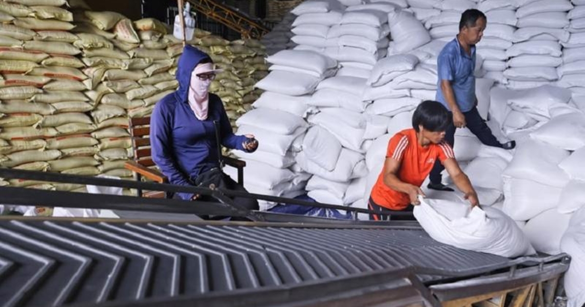 Vietnam targets to export over 7.5 mln tons of rice in 2025 - VnEconomy