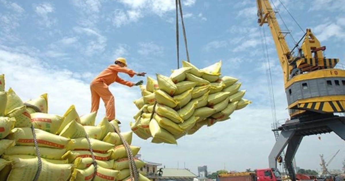 Vietnam’s export rice prices on the rise - VnEconomy