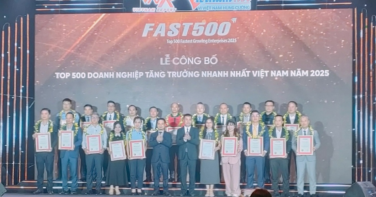 Vietnam's 500 fastest-growing enterprises announced - VnEconomy