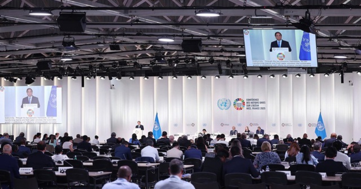 Vietnam among first countries to sign High Seas Treaty - VnEconomy